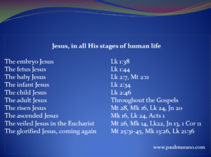 Anticipating the third stage of His incarnate life – BENEATH THE ...